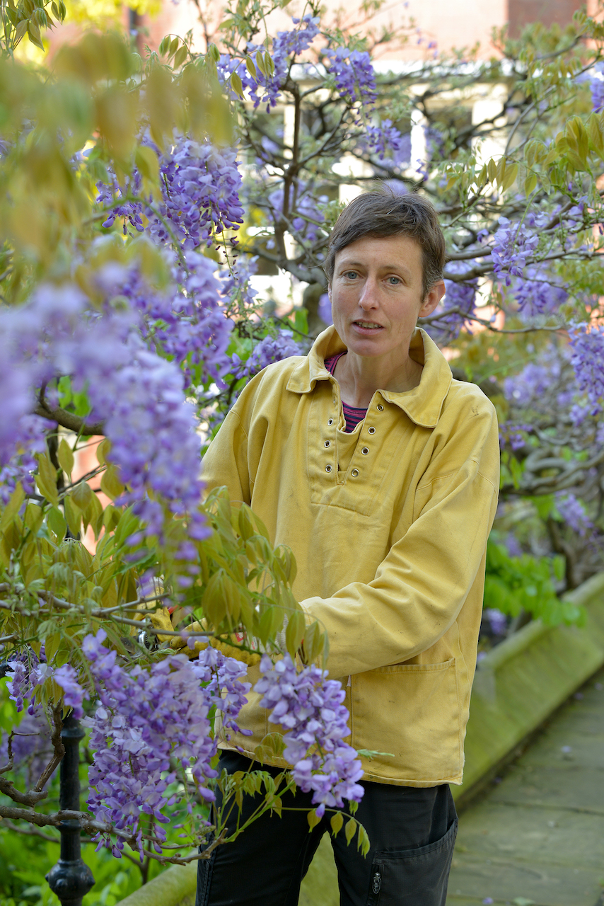 First, get to know your Gardener | Middle Templar Magazine